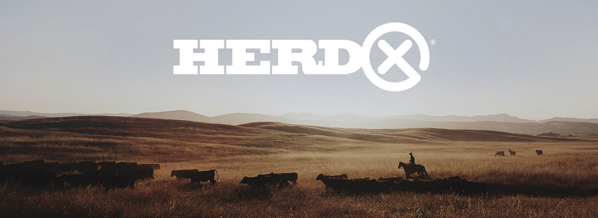 HerdX With Ron Hicks and Austin Adams | Google Cloud Platform Podcast